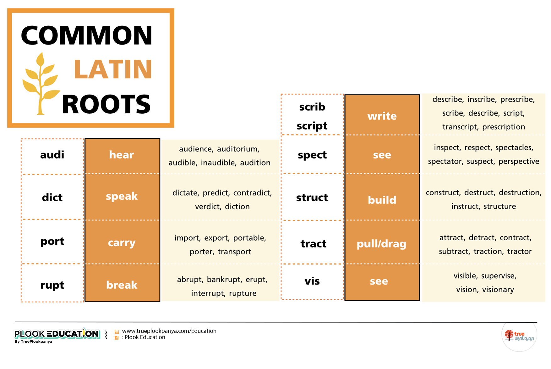 ภาษาอังกฤษ ม. ต้น : Word Root ตะลุยโจทย์ โดย ครูทาม์ย | TruePlookpanya
