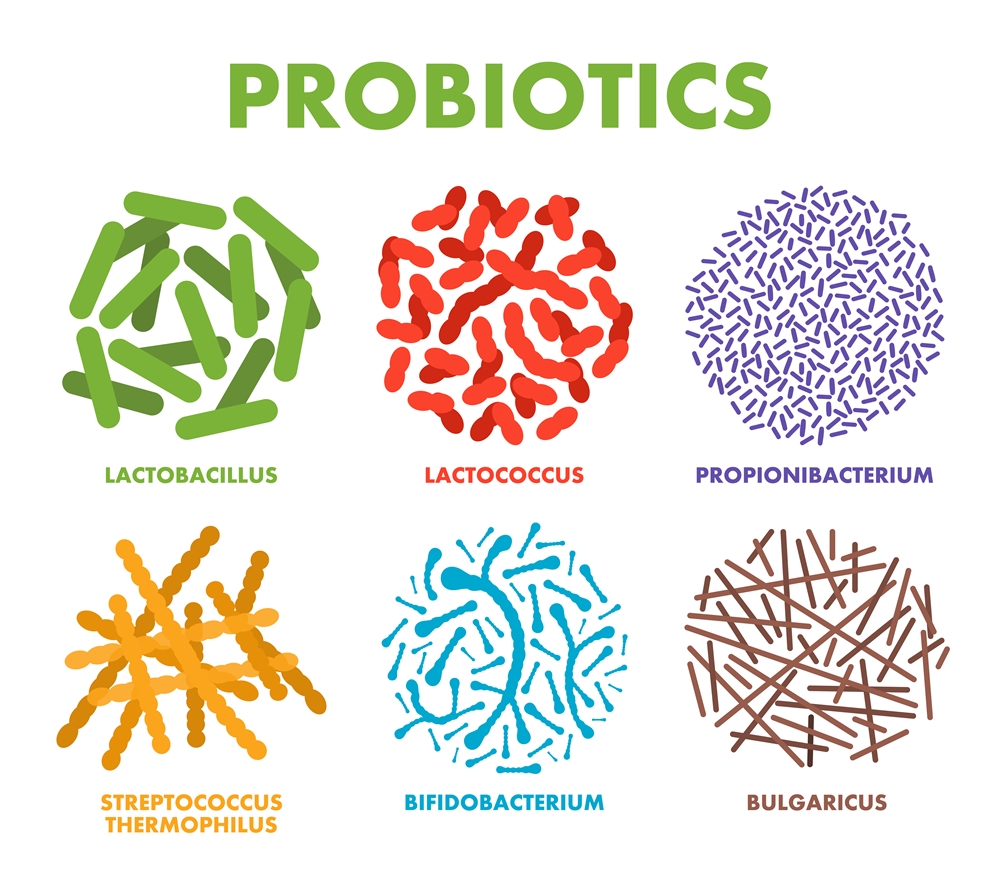ประโยชน์ของ Probiotics ต่อสุขภาพ